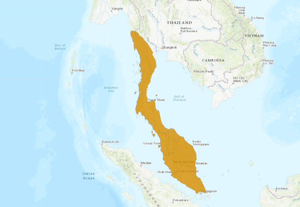 Langur Project Penang (LPP)