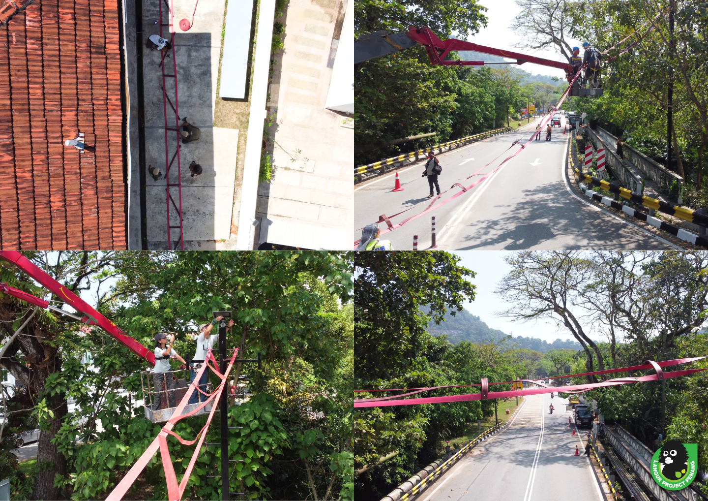 Let’s Bridge To Coexist – Langur Project Penang (LPP)