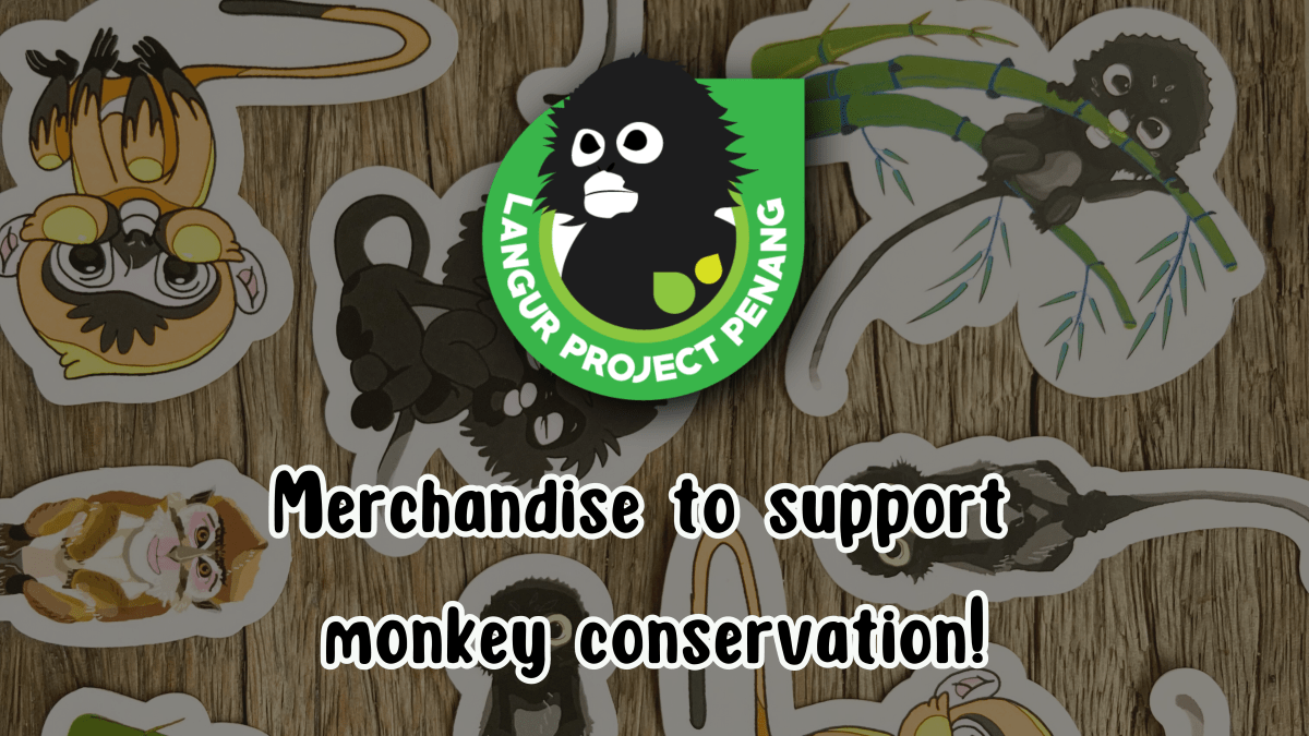 Monkey Merchandise – Langur Project Penang (LPP)